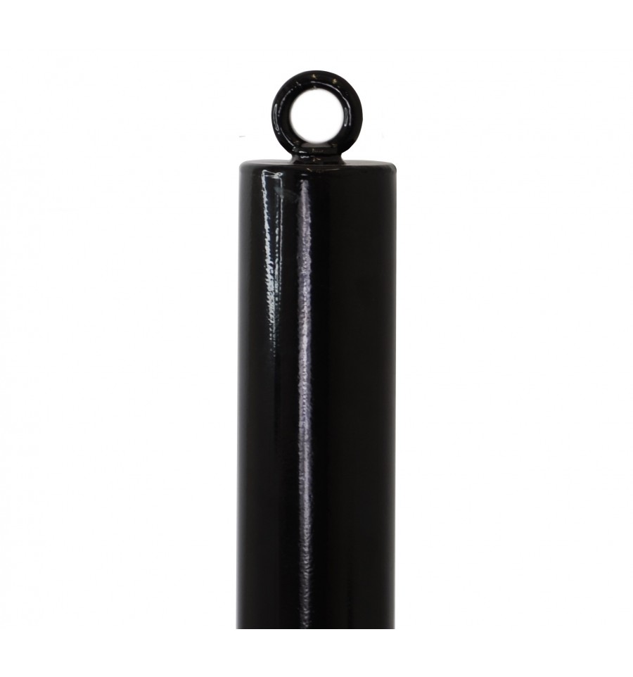 76 mm Removable Black Security Post with Chain Eyelet