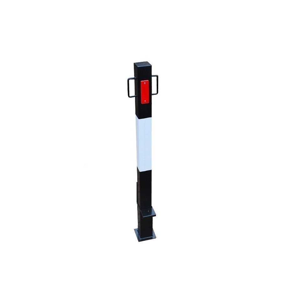 Large Heavy Duty 140P Removable Security Post