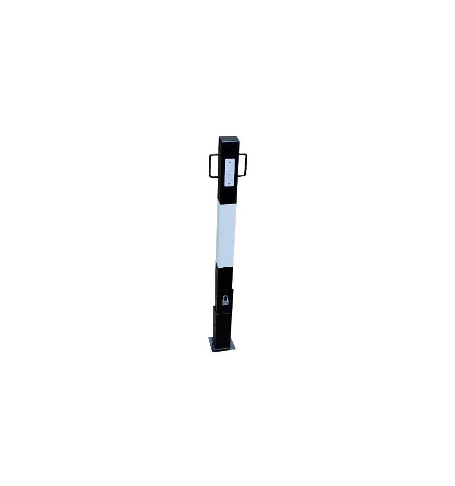 Large Heavy Duty 140P Removable Security Post