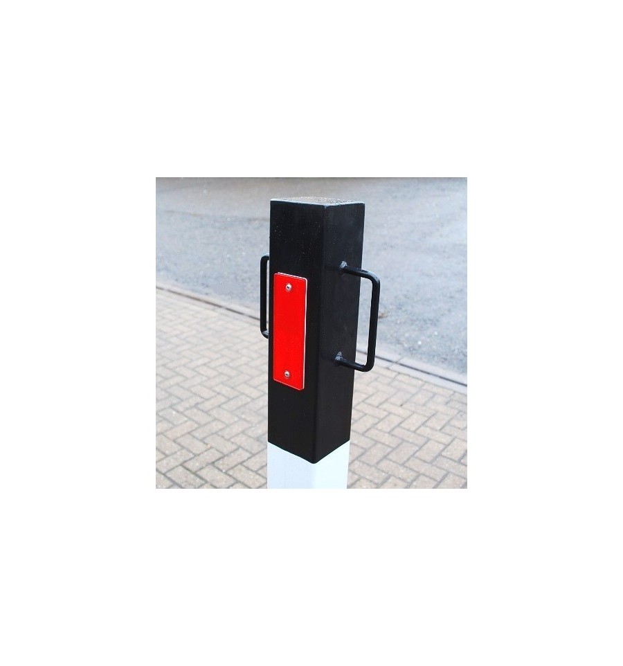 Large Heavy Duty 140P Removable Security Post